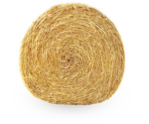 VESTA Homes – Nachhaltige Fertighausmodule aus Stroh